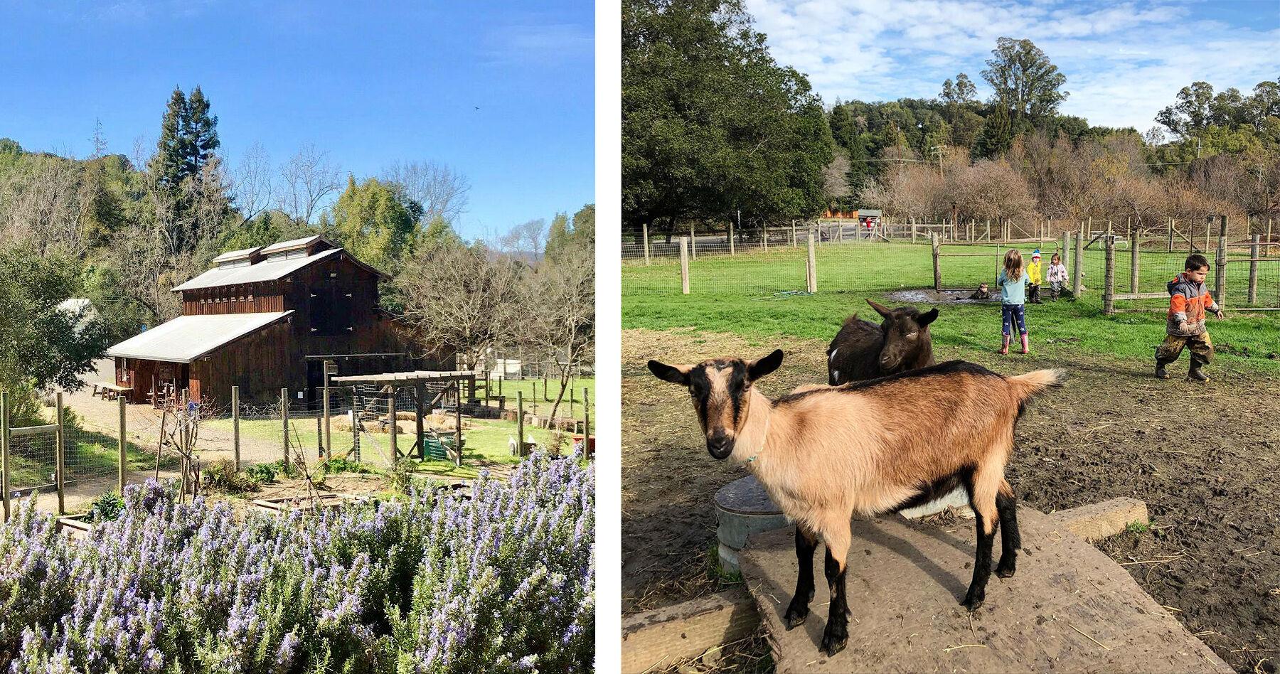 10 ways to experience Napa’s bountiful agritourism | Explore ...
