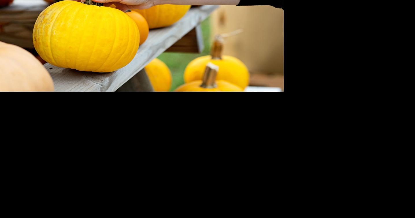 How to pick and prep the perfect pumpkin | Fruits & Vegetables ...