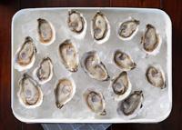 Taste of the sea: An oyster flavor guide | Meat & Seafood ...