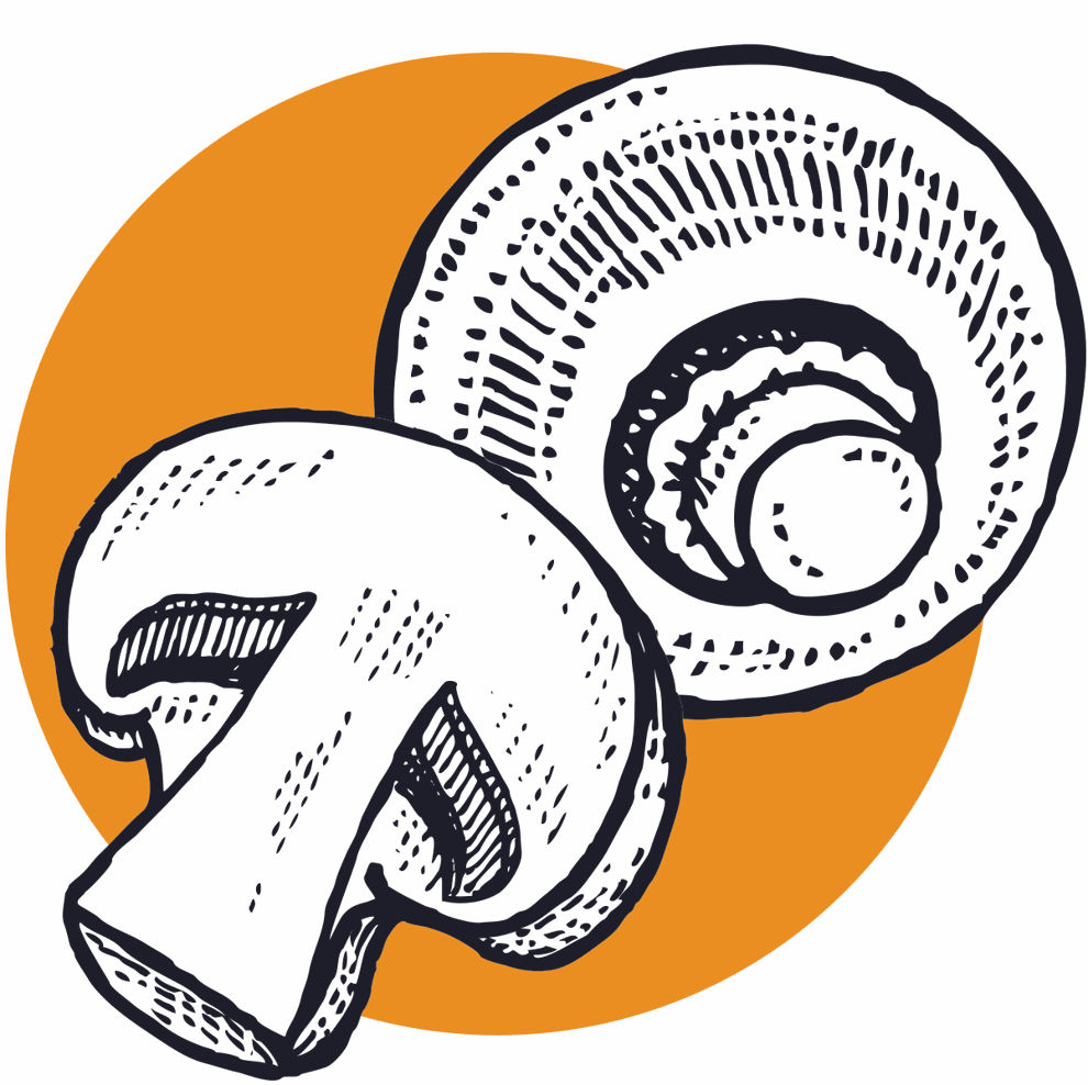 Figuring out fungi: Flavor guide for cooking with mushrooms | Fruits ...