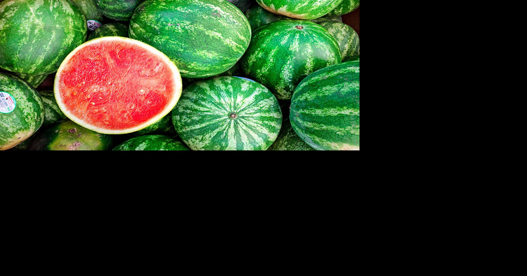 Watermelon in southern Indiana | | feastandfield.net