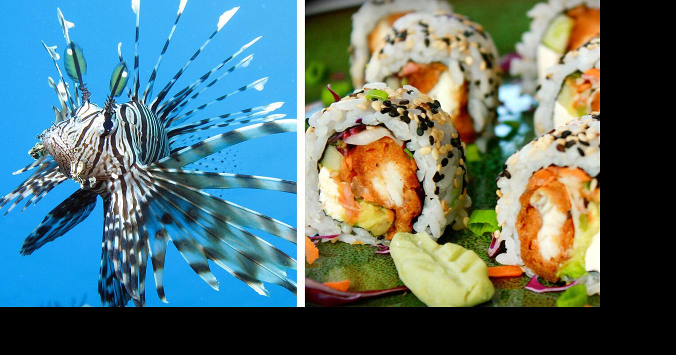 Eat the invaders: is invasivorism the next food trend? | Issues ...