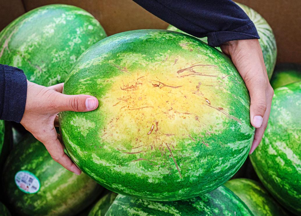 Look, lift and turn: How to pick the perfect melon | Fruits ...