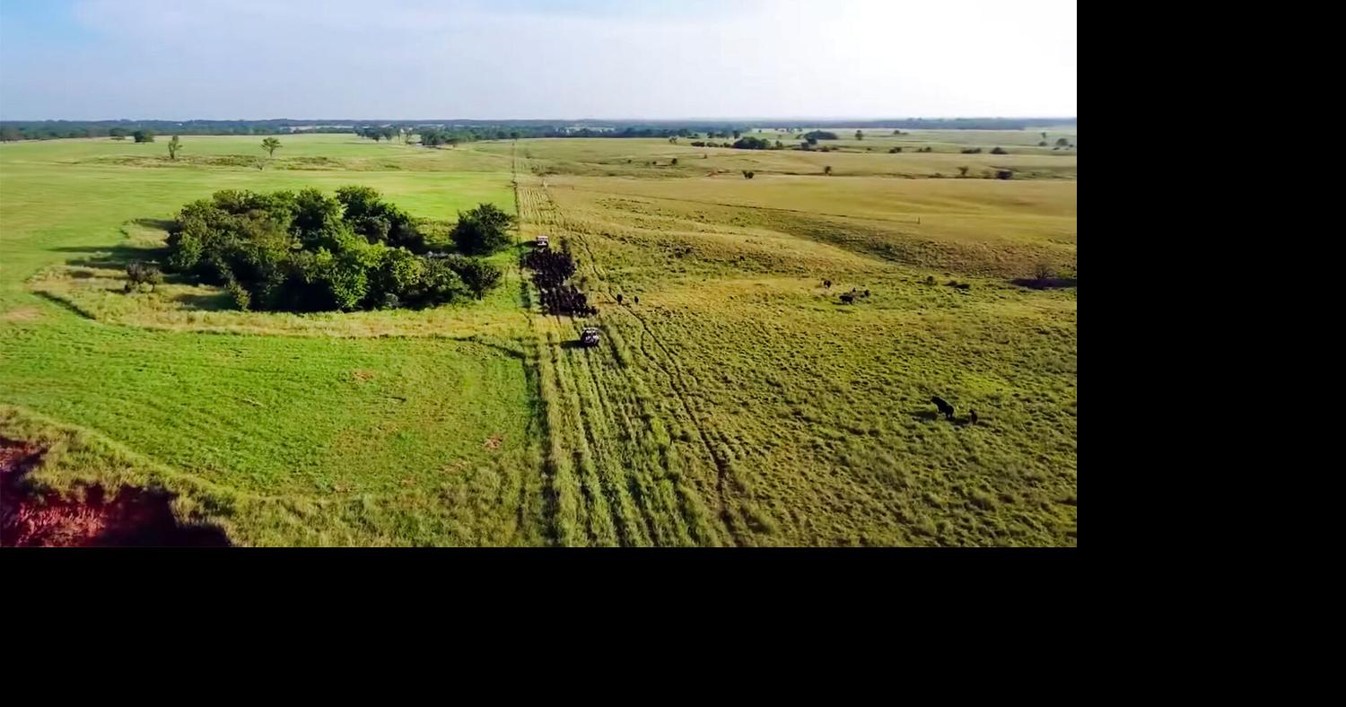 Linz Heritage Angus buys Oklahoma ranch, will repurpose Crown Point ...