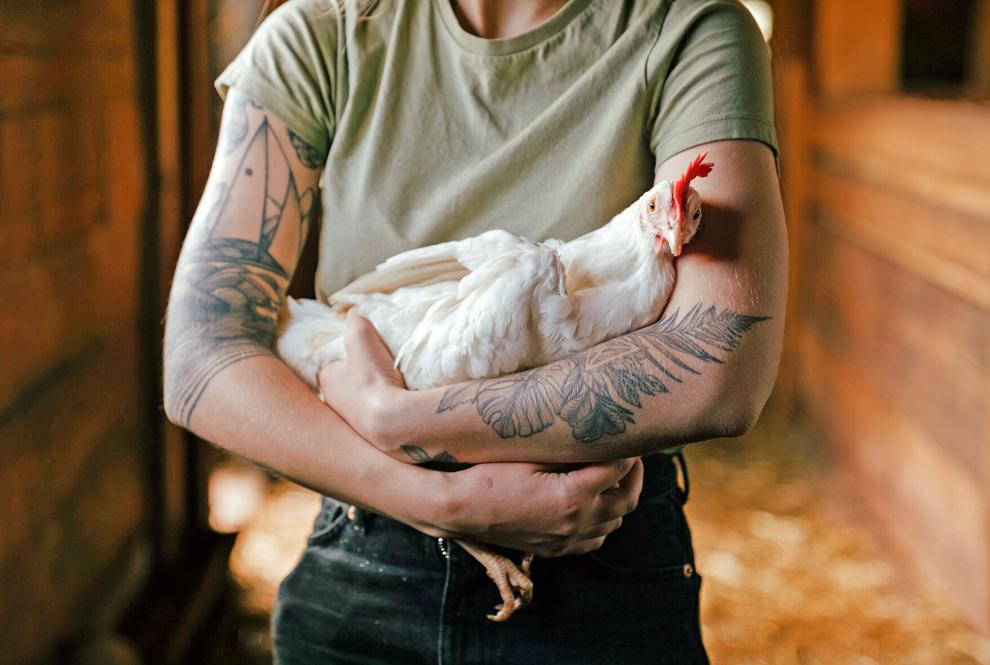 10 agricultural influencers you need to be following | Lifestyle ...