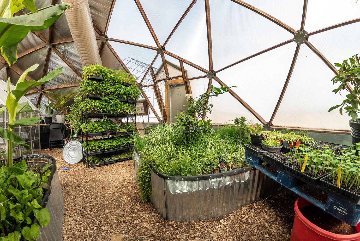 The Lakota are building an equitable food future for their tribe | Meat ...