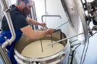 Pasture to package: How cheese is made | Dairy & Eggs | feastandfield.net