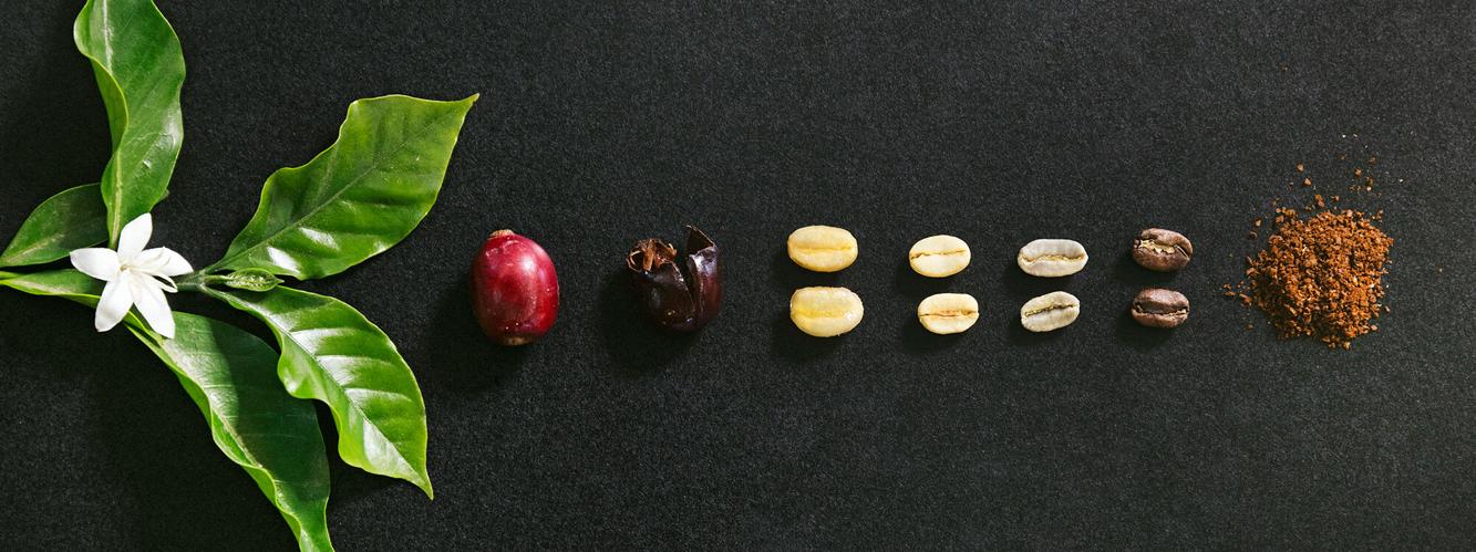 Coffee talk: Get to know the beans and the brews | Beverages ...