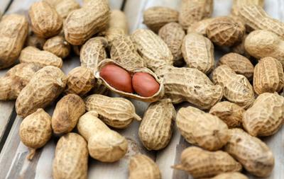 In a nutshell: Different nut types, explained | Grains, Legumes & Nuts ...