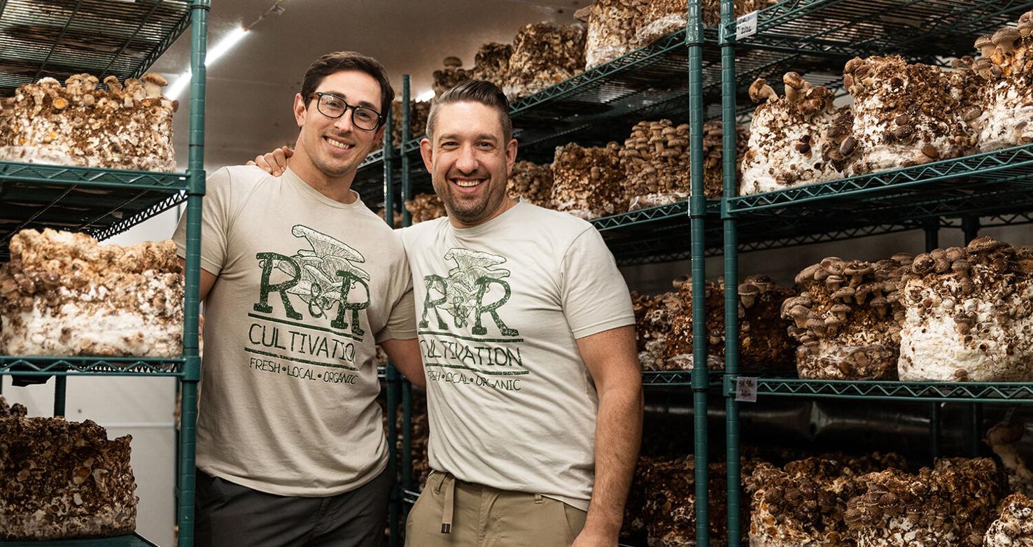 Fungiculture: Everything you need to know about mushroom farming ...