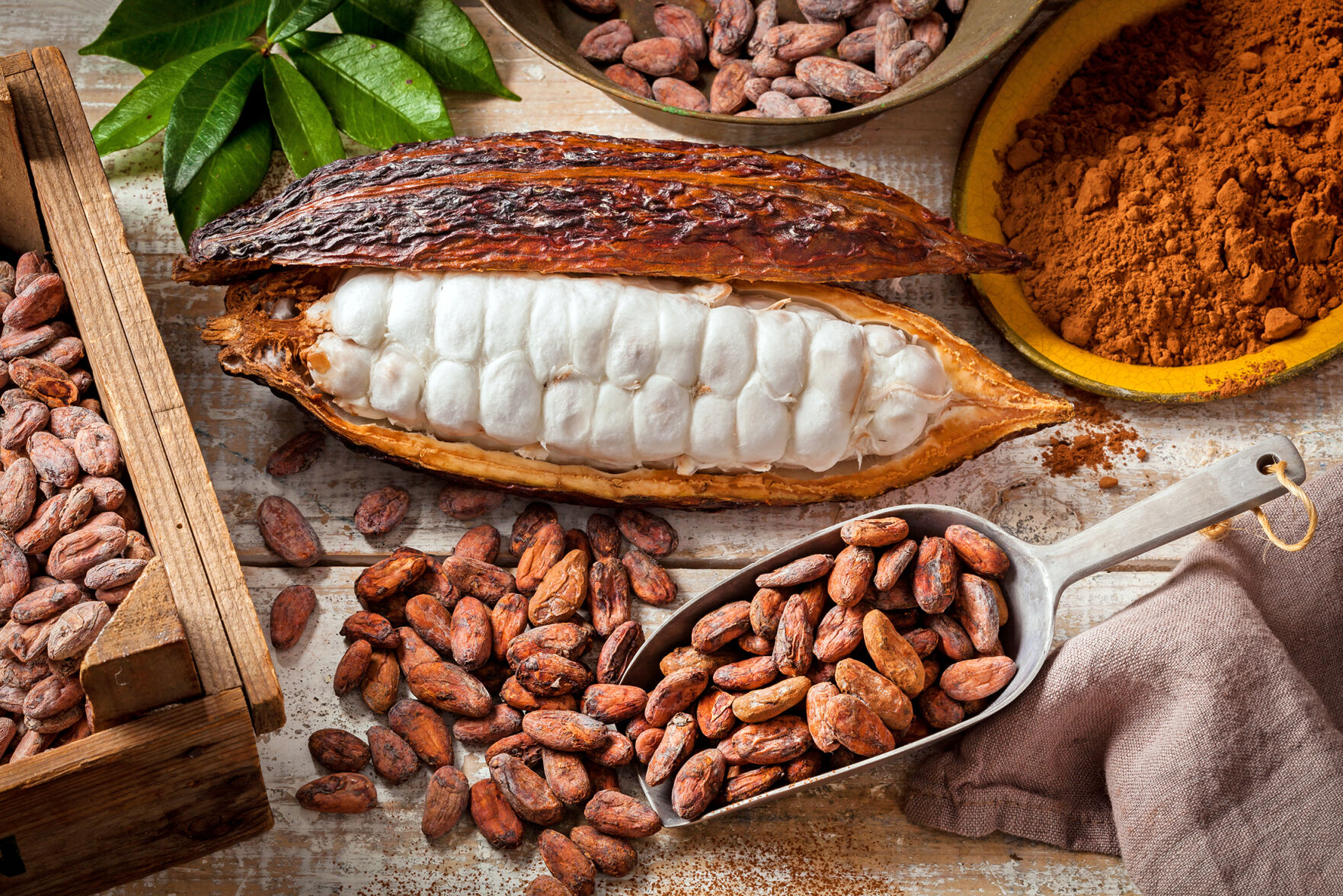 How your favorite chocolate gets from branch to bar | Confections ...