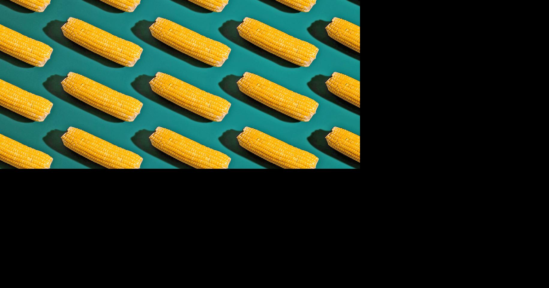 Corn, America’s top crop: Everything to know | Fruits & Vegetables ...