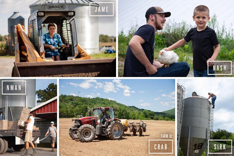 6 chicken brands you can feel good about eating | Meat & Seafood ...