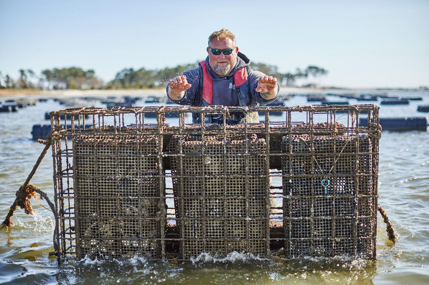 Cherrystone Aqua-Farms, a Virginia pearl on the Eastern Shore | Meat ...