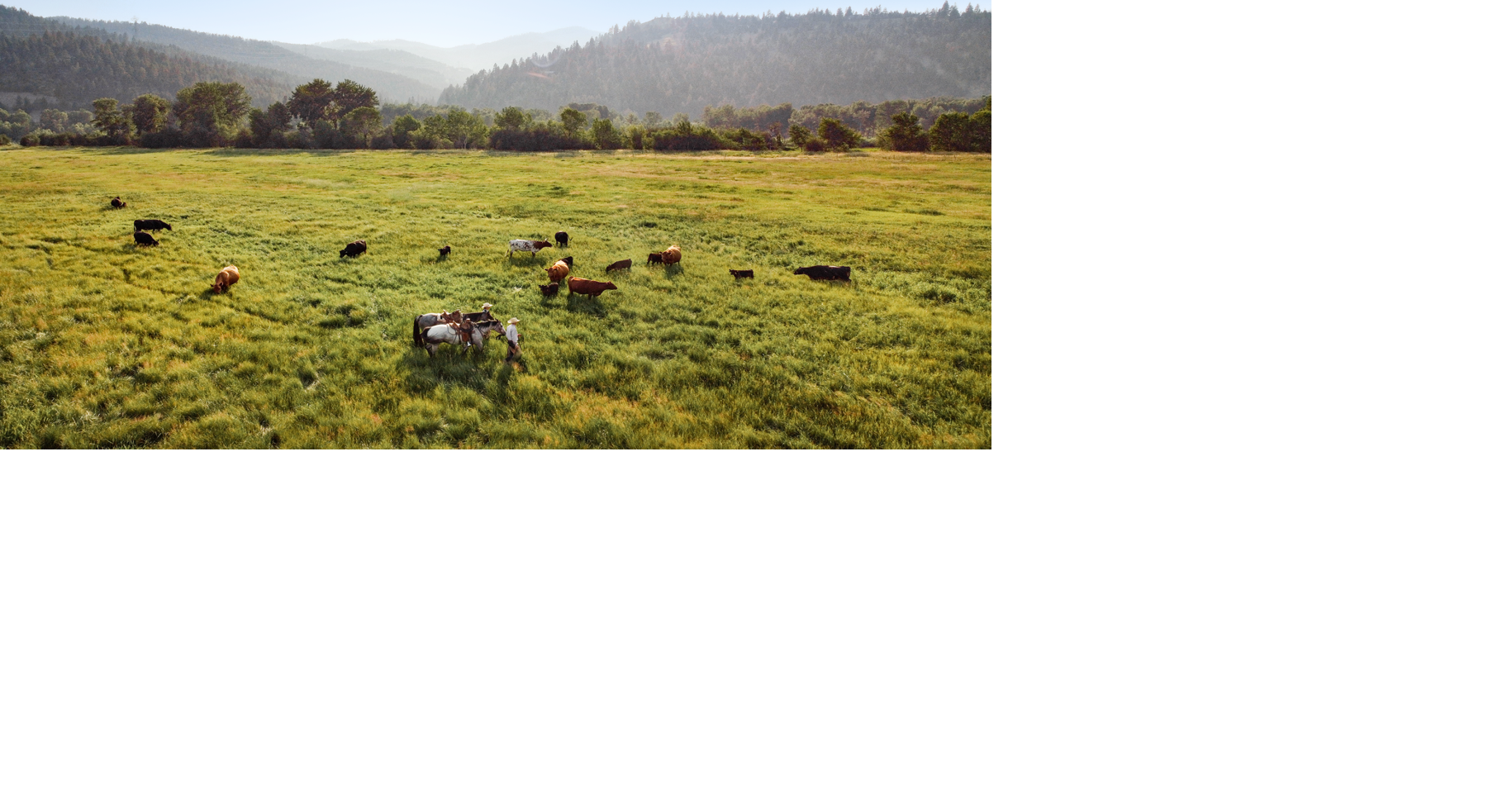 Regenerative ranching under the big sky at Oxbow Cattle Company | Meat ...