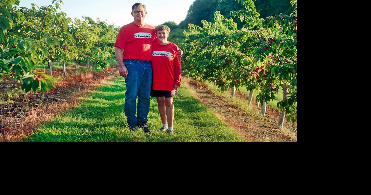 Video: Northern Michigan cherry season in full bloom | Fruits ...
