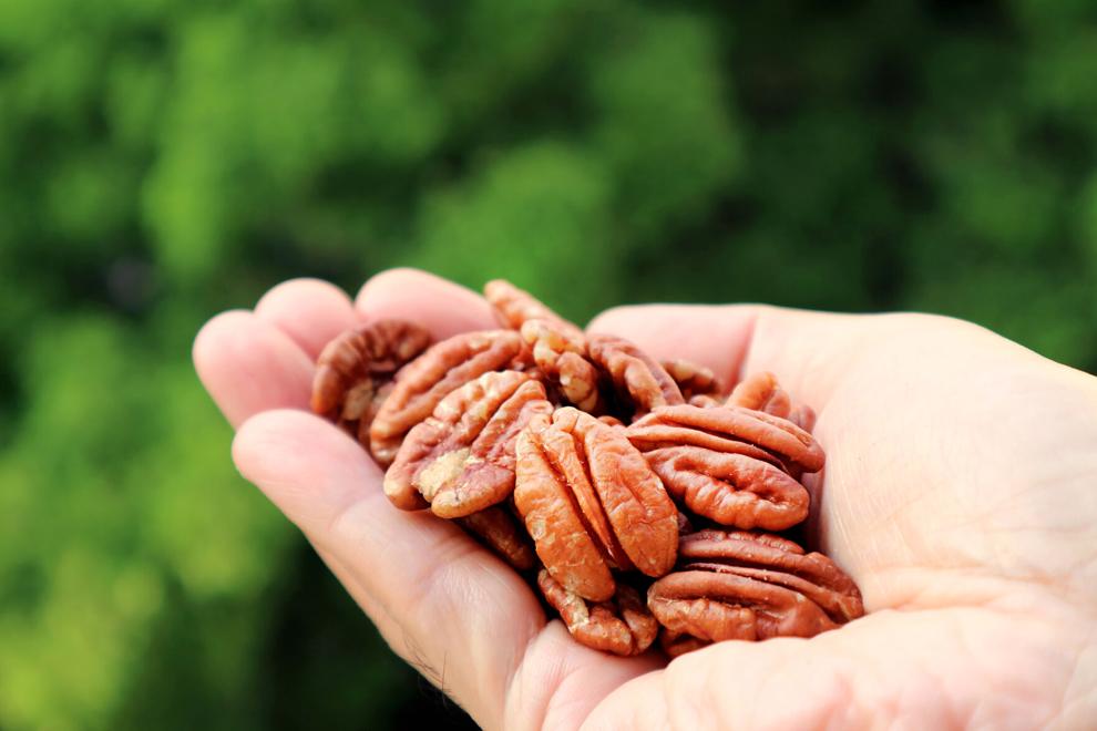 Trend alert: Pecans are the latest and greatest meat substitute ...