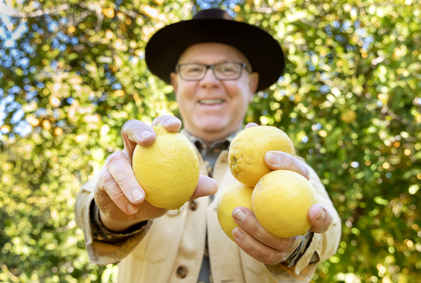 Organic lemons thrive in this unique Arizona farming community | Fruits ...