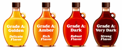 Tapping into the origins of making maple syrup | Condiments & Sauces ...