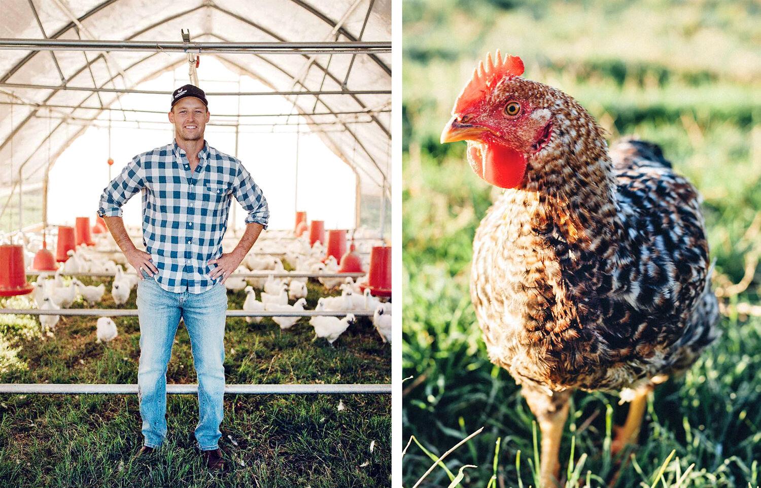 6 chicken brands you can feel good about eating | Meat & Seafood ...