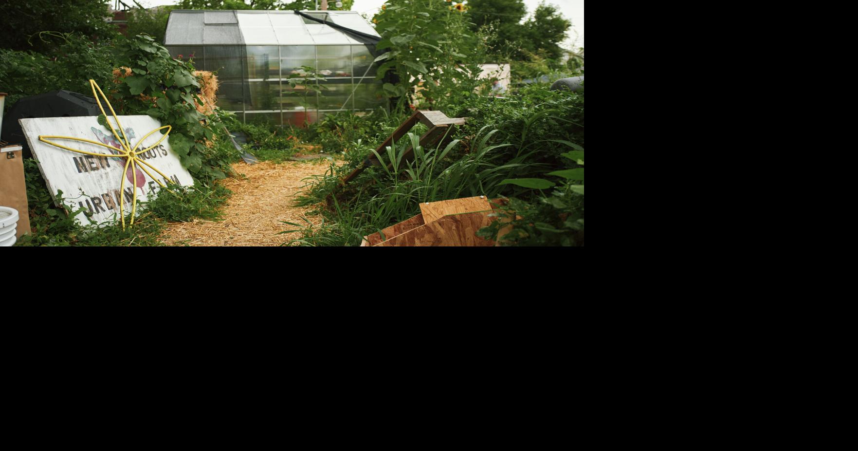 New Roots Urban Farm is about more than just produce