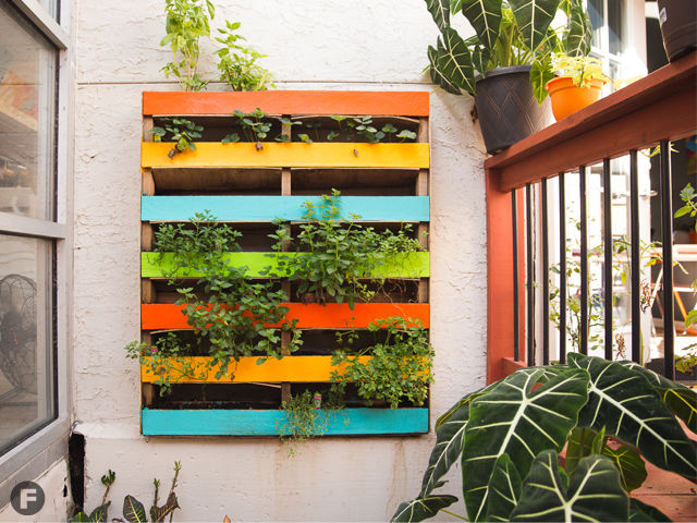 Chris Goode on Expanding Ruby Jean's Juicery in Springfield and Kansas City