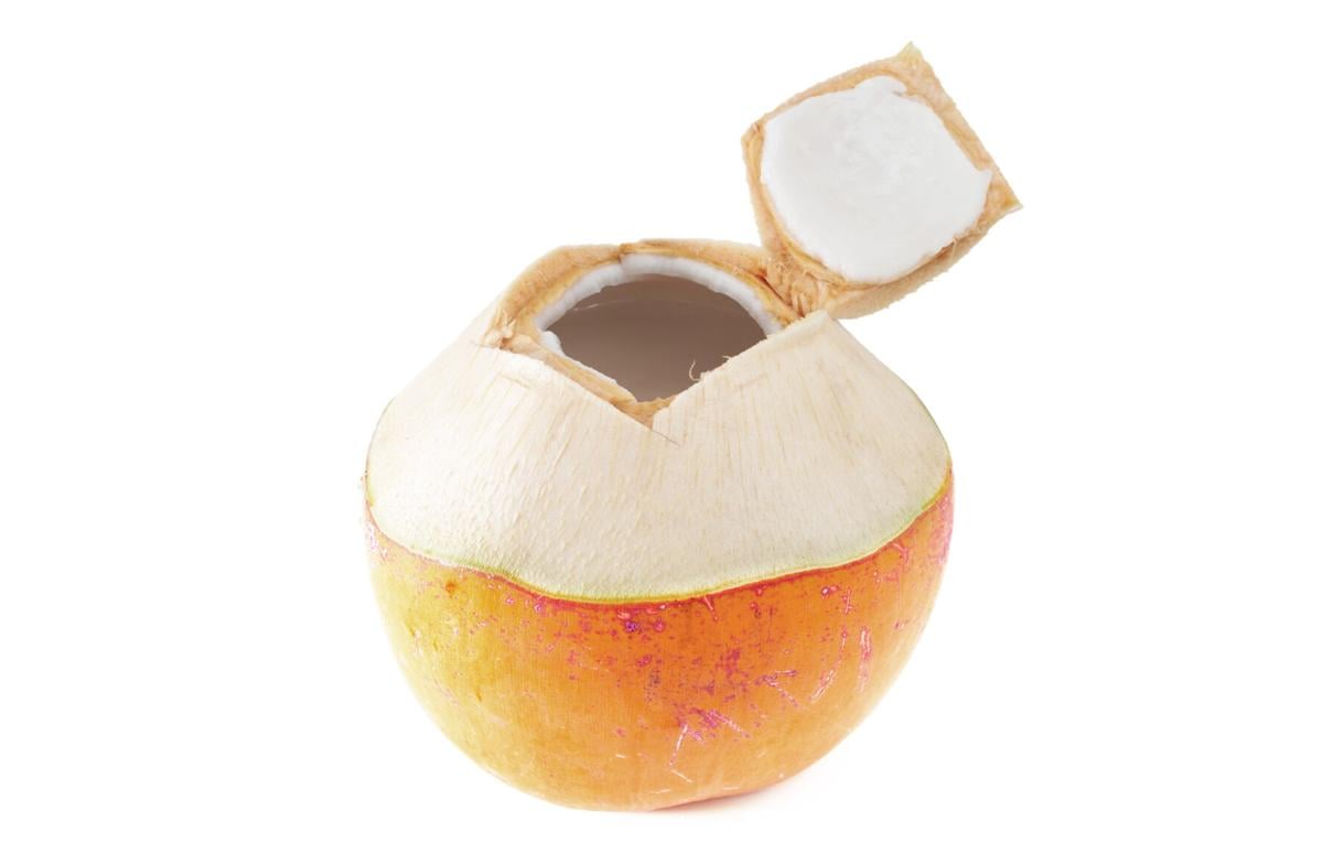 coconut fruit type