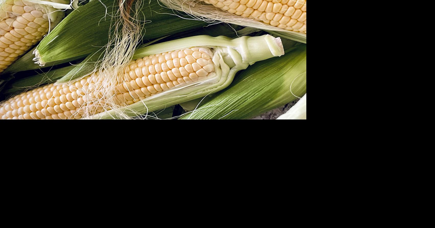 Make the most of summer corn with this recipe collection