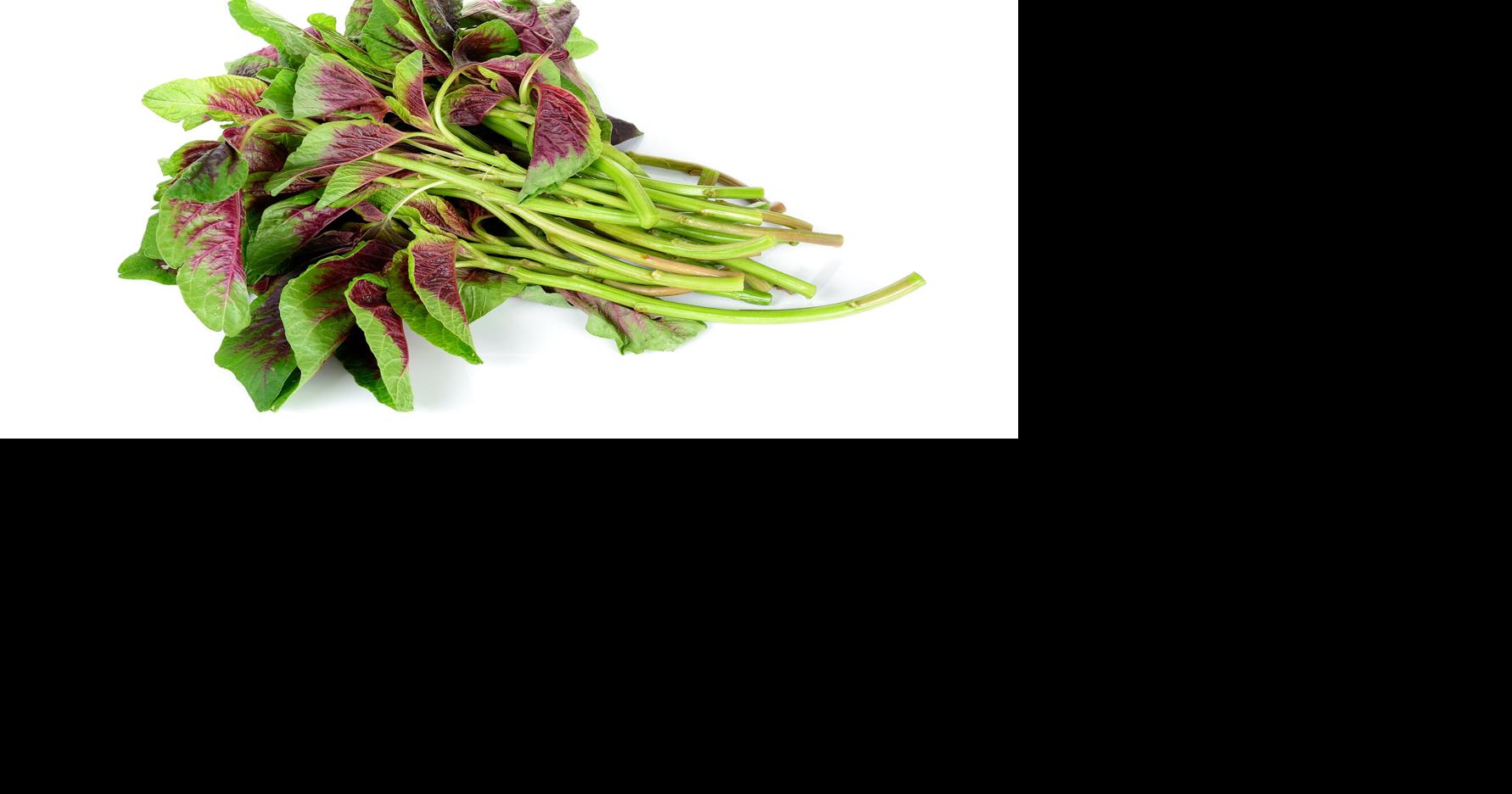 Types of amaranth