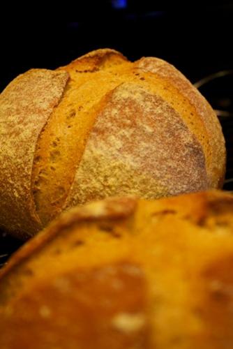 St. Louis Baker Tony Busekrus Launching Bread Head Baking in May