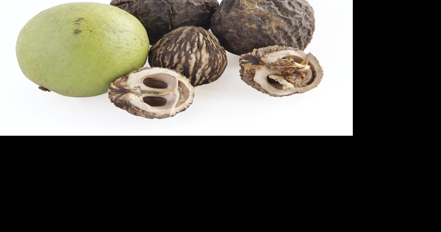 Quintessential Foods of the Ozarks