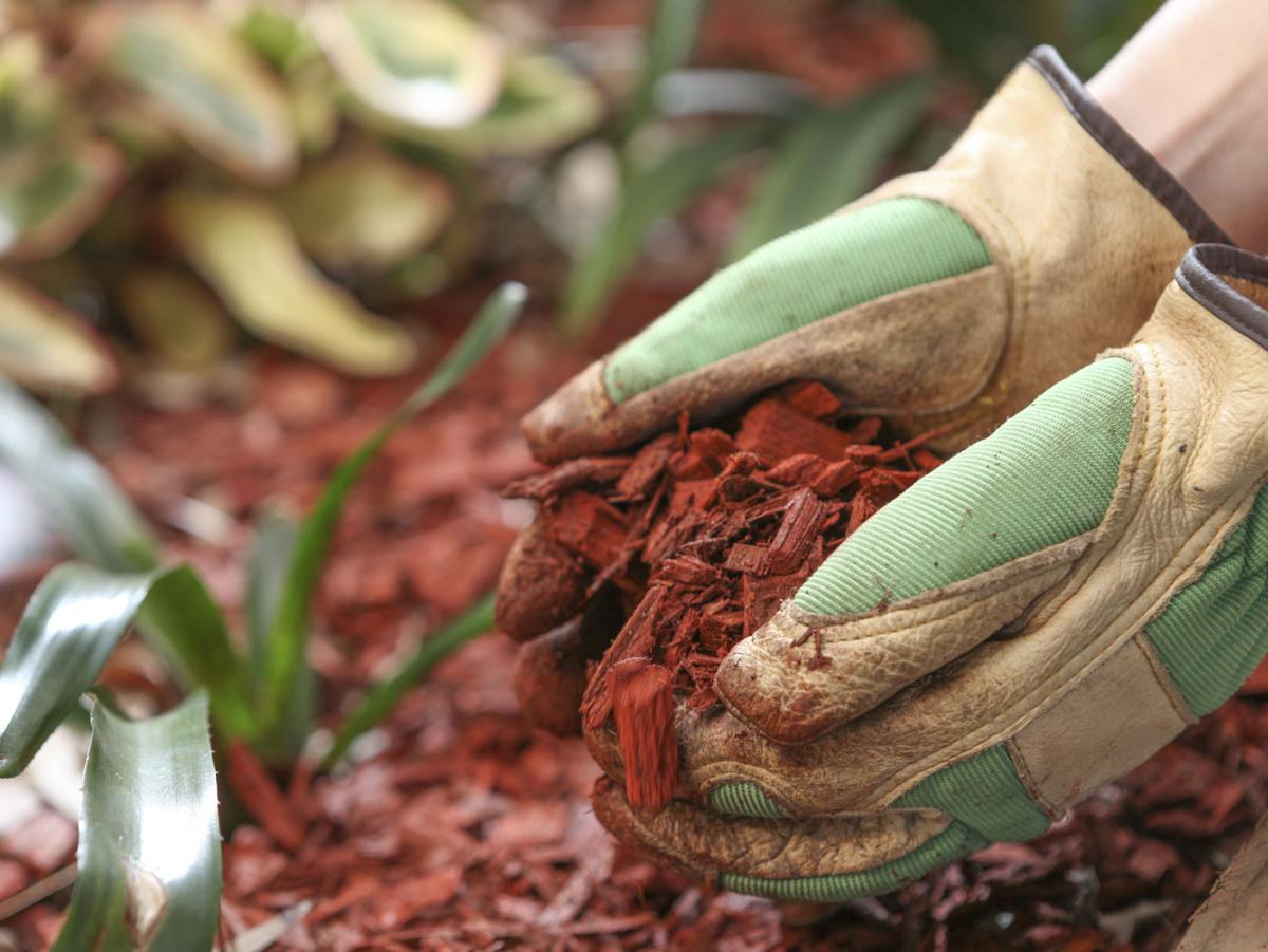 How to properly prep your garden for winter