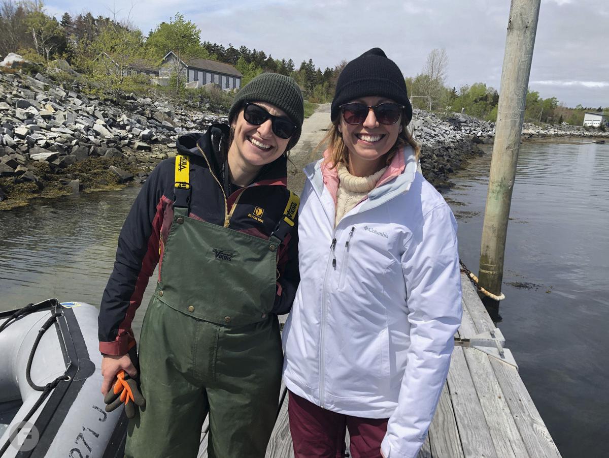 tasteMAKERS, From Feast Publisher Cat Neville, Debuts Second Season ...