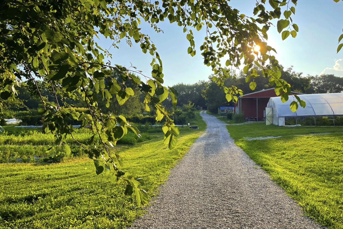 EarthDance brings sustainability, equity and education apprentice ...