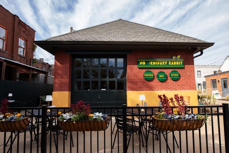 No Ordinary Rabbit delights visitors in Botanical Heights