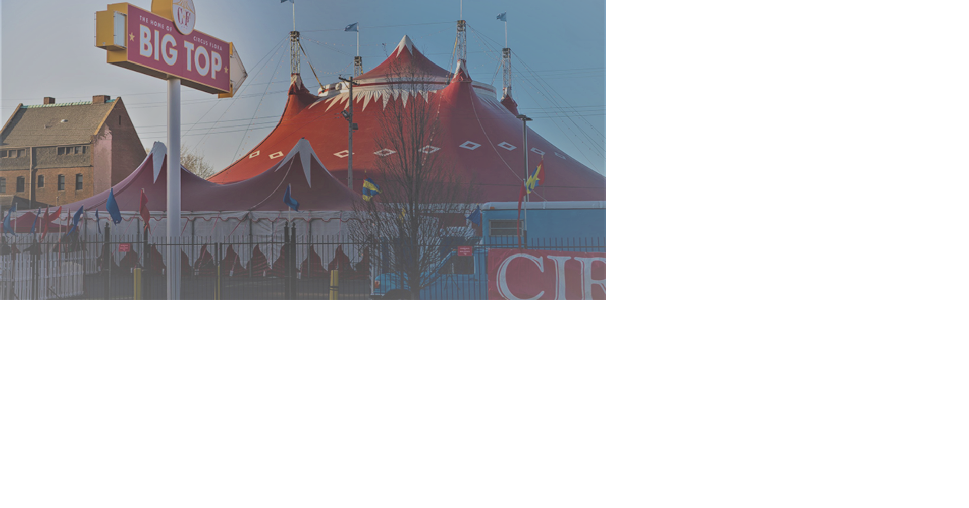 Bites at the Big Top, an event to benefit the Foster & Adoptive Care ...