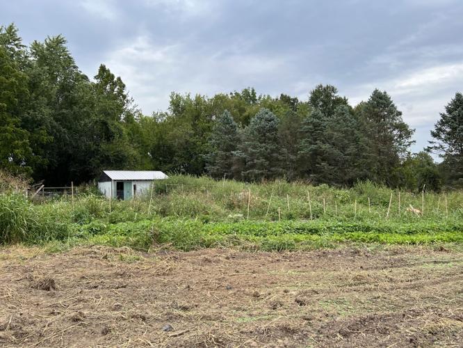 Phi Global Farms provides fresh produce and farm education