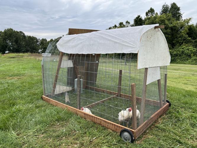 Phi Global Farms provides fresh produce and farm education