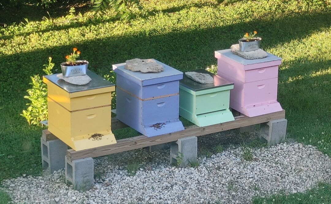 Beekeeper Melanie Smith crafts customized soaps and salves, all while ...