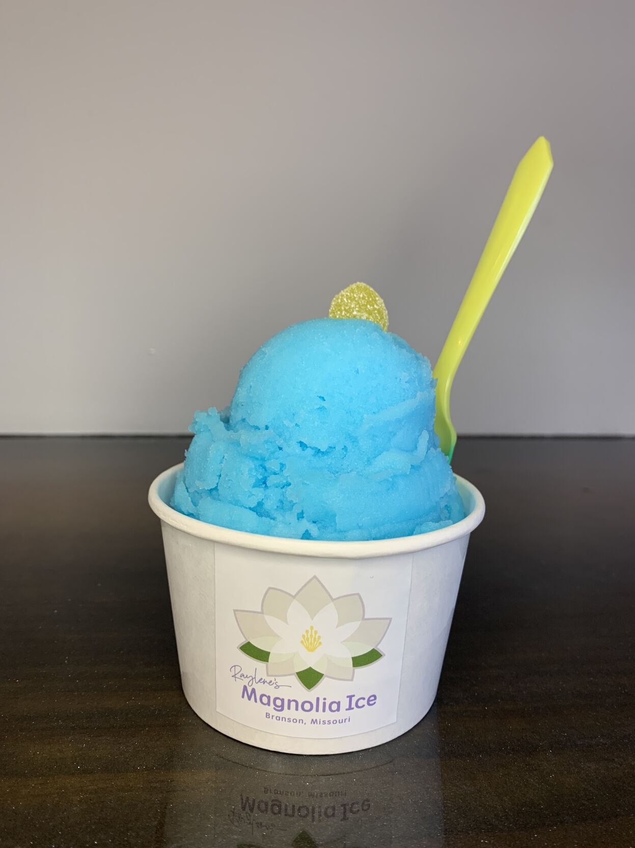 Raylene's Magnolia Ice is serving up Italian ice, sandwiches and hot ...