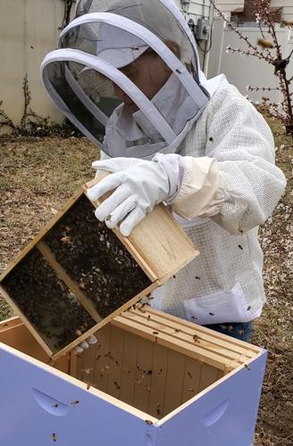 Beekeeper Melanie Smith crafts customized soaps and salves, all while ...