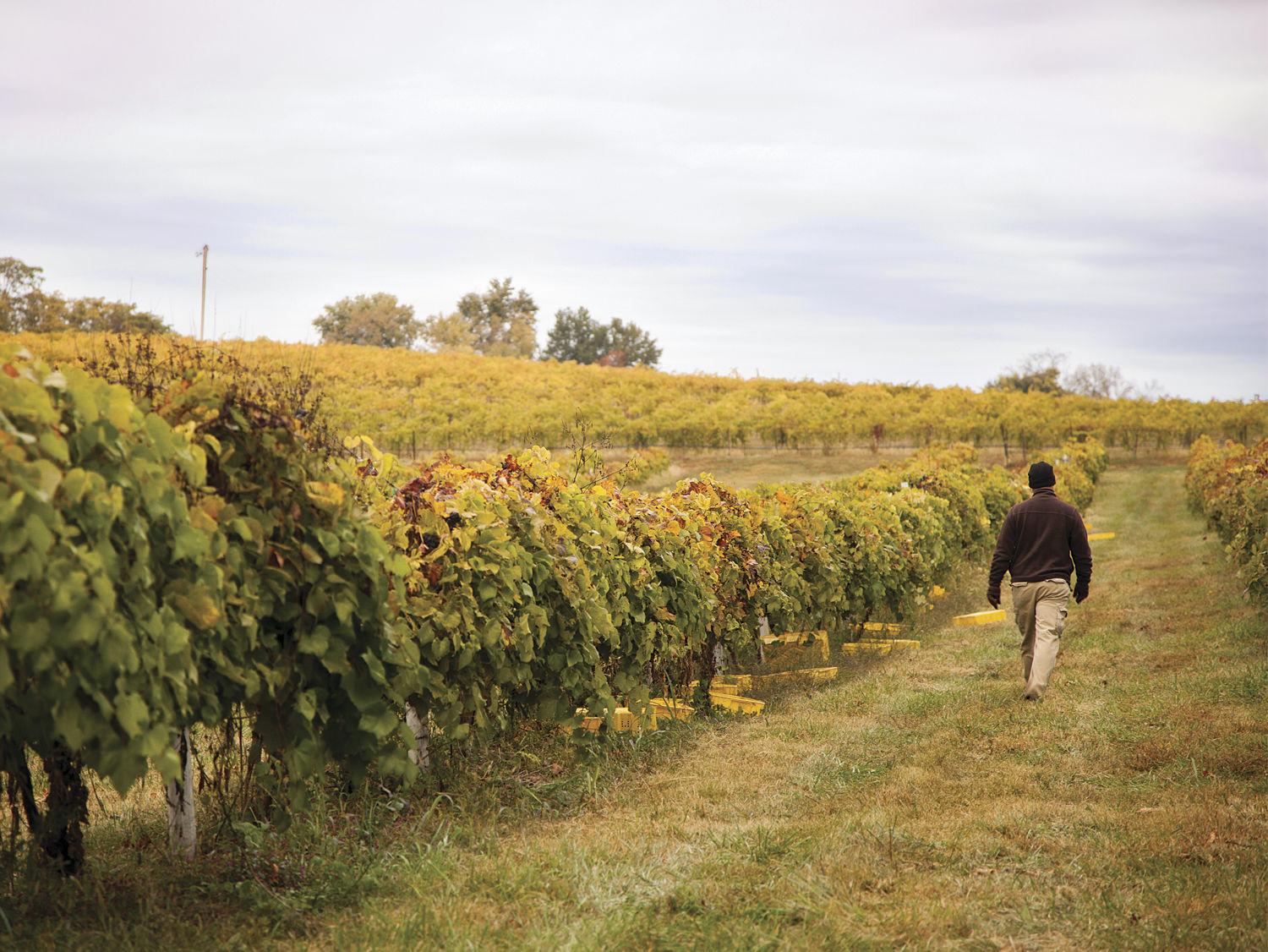 These wineries make Augusta, Missouri, a must-visit destination