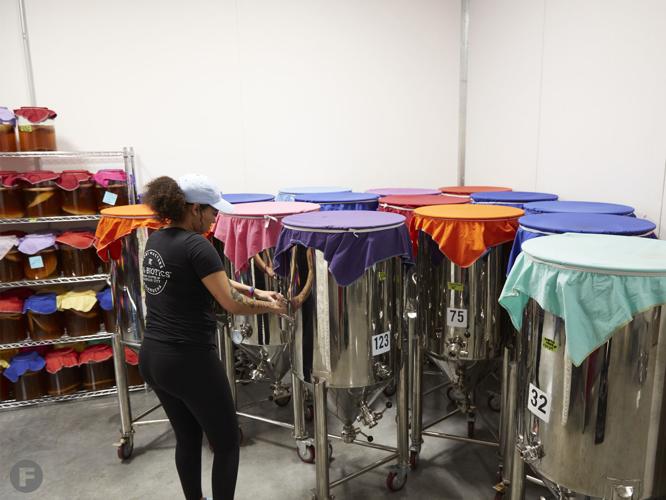 How Lisa Bledsoe built Tea-Biotics into a kombucha empire in Olathe, Kansas