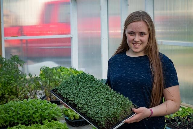 Triple M Acres is a family-run farm in Warrenton, Missouri