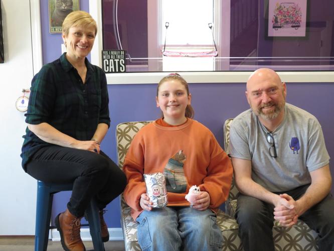 MeowTown cat café in Alton is finding forever homes for cats