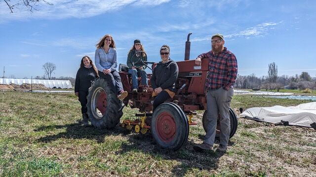 Venture to Theodora Farms for your organic groceries