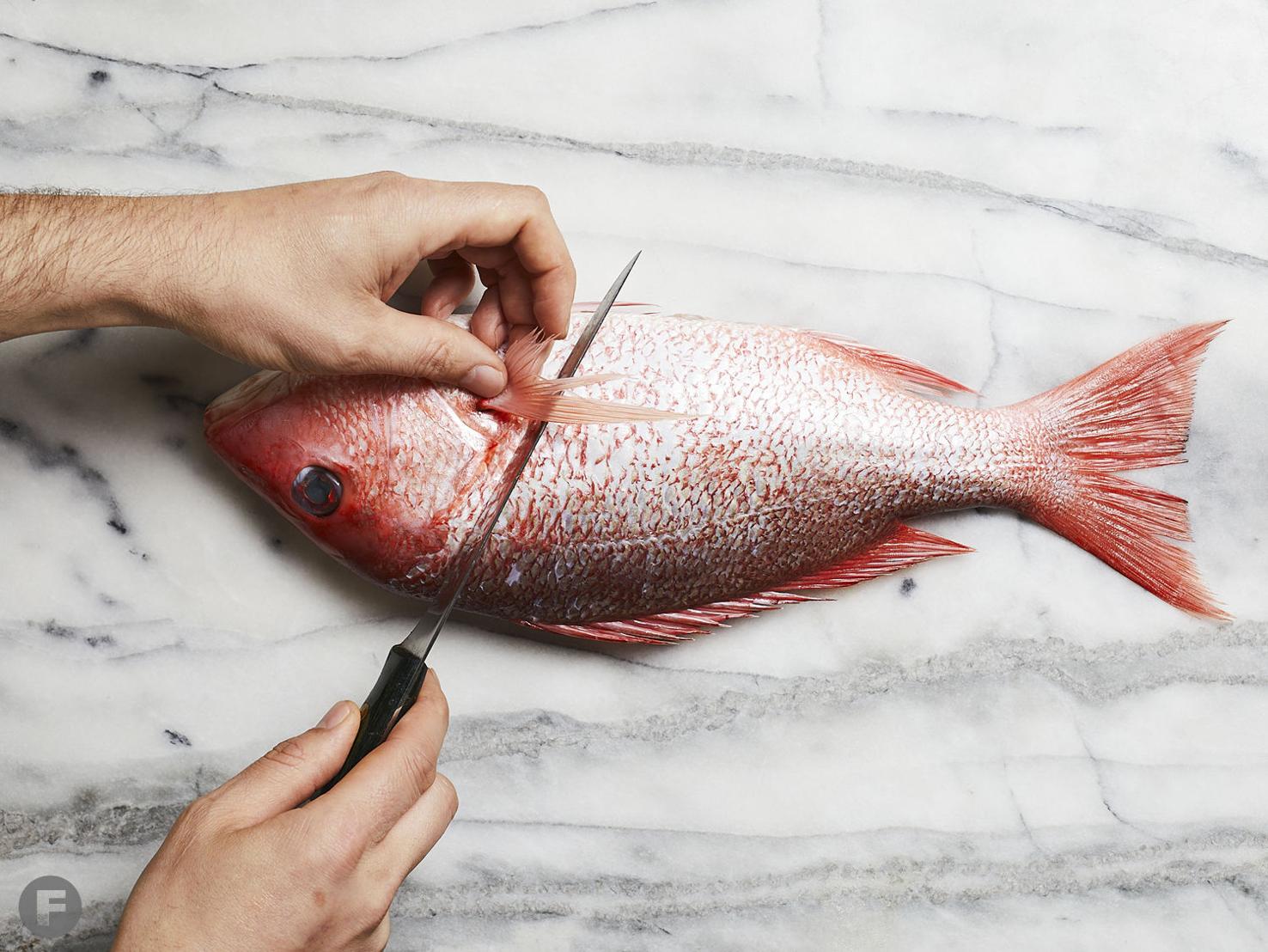 How To Skin and Debone a Fish