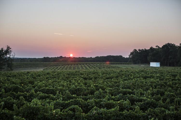 Stone Hill Winery Hosting Great Stone Hill Beast Feast