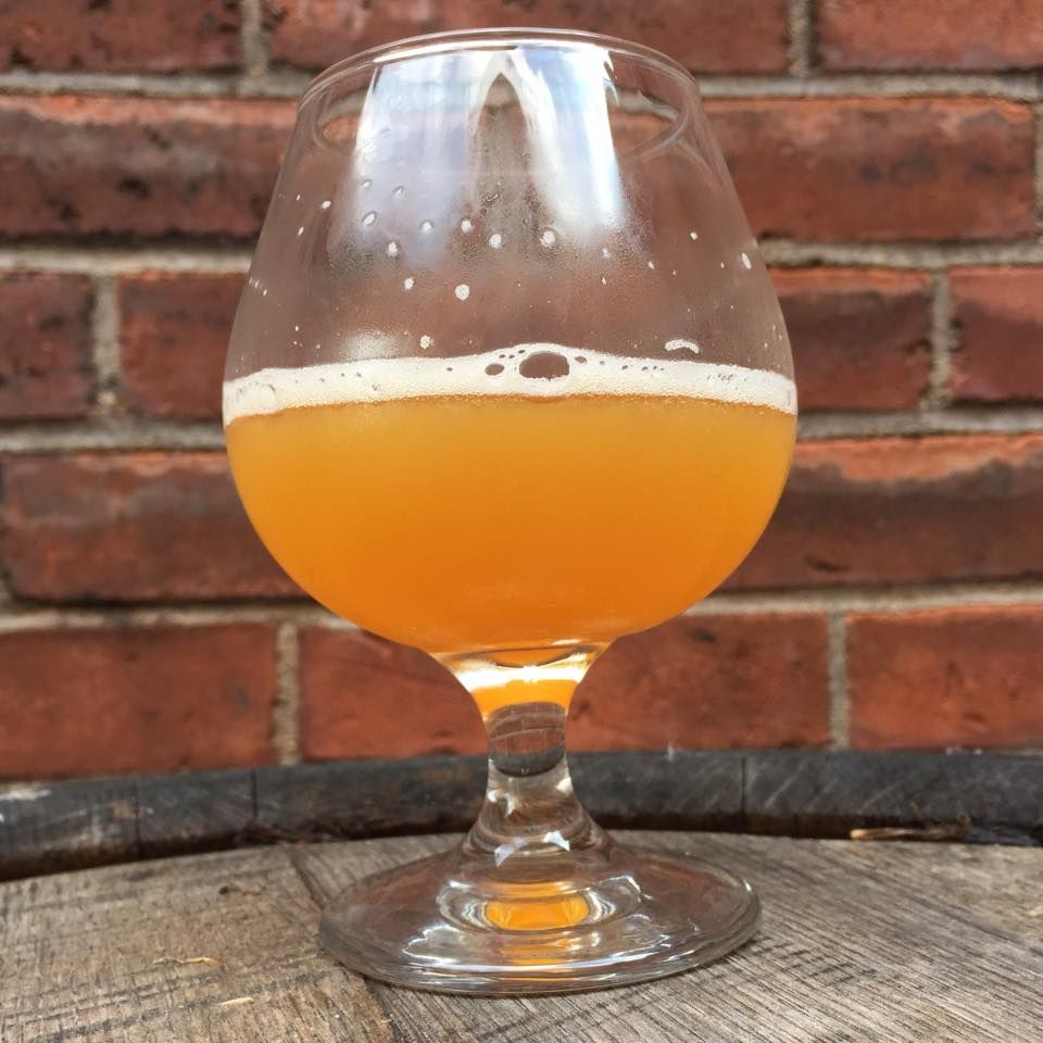 Schlafly Debuts Dry-Hopped Grapefruit IPA