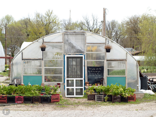 7 Reasons to Check Out Urban Roots Farm in Springfield